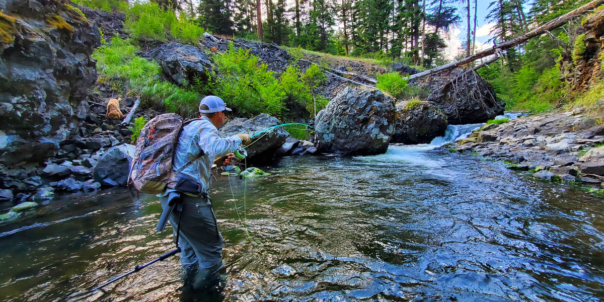 Mastering Small Creek Fishing with Tiny Rods and Terrestrial Dry Flies ...