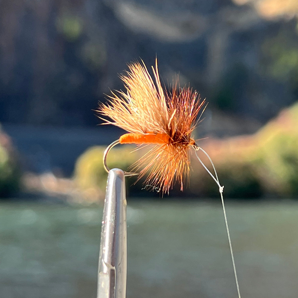 September Trout Fly Bundle — Red's Fly Shop