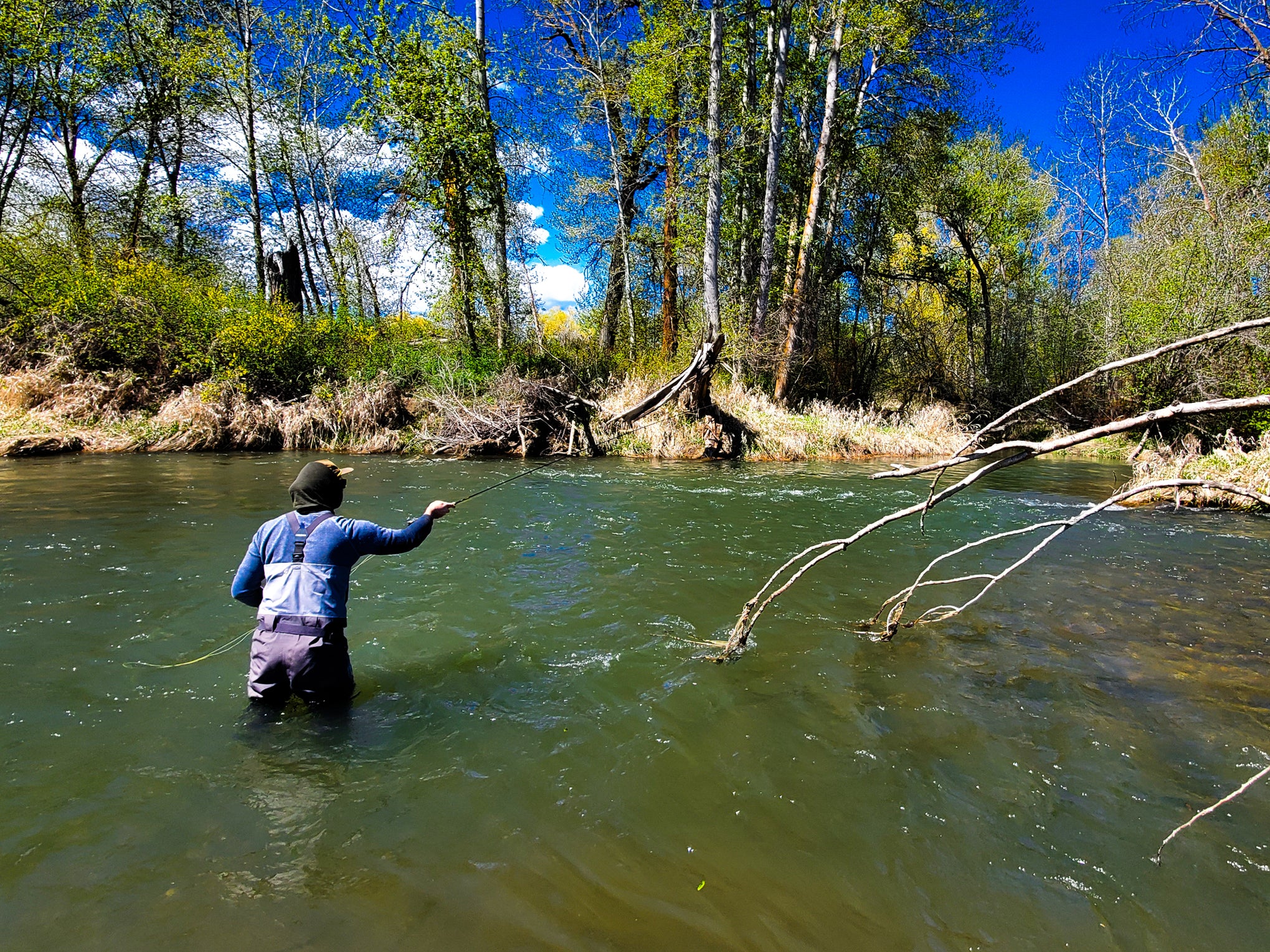 UNIVERSITY — Red's Fly Shop