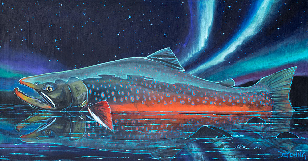 DeYoung Arctic Char - Northern Lights Canvas Print — Red's Fly Shop